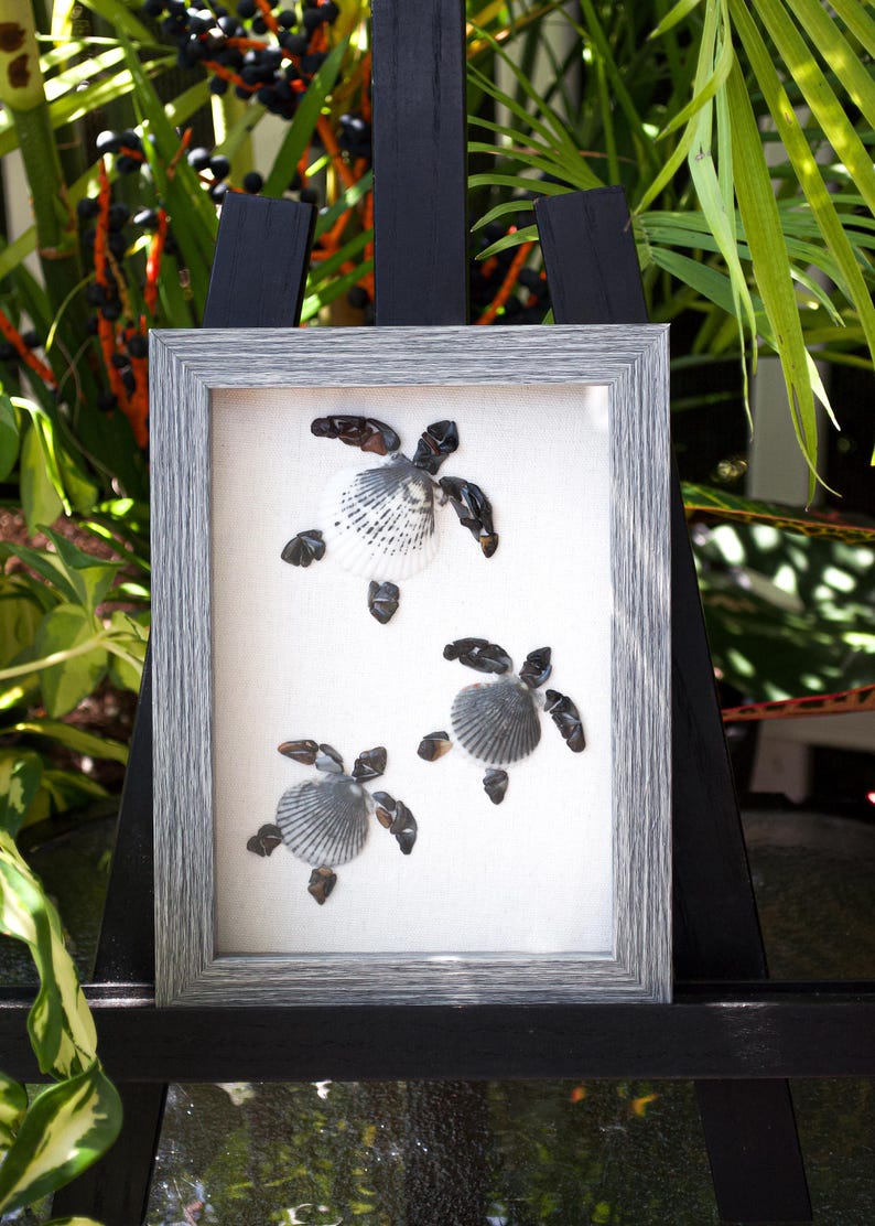 Turtles Shadow Box Wall Art - Etsy