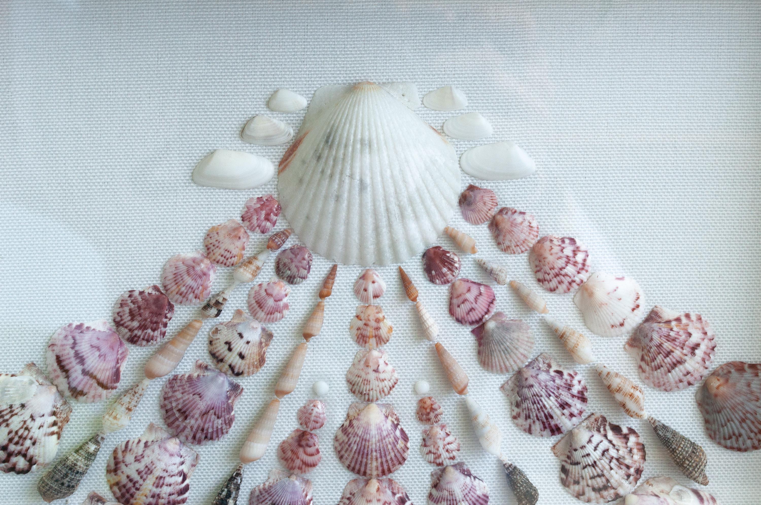 Shell Shadow Box - Wall Art - Etsy