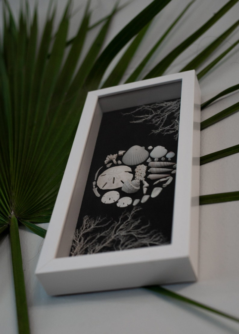 Shell Shadow Box Wall Art - Etsy