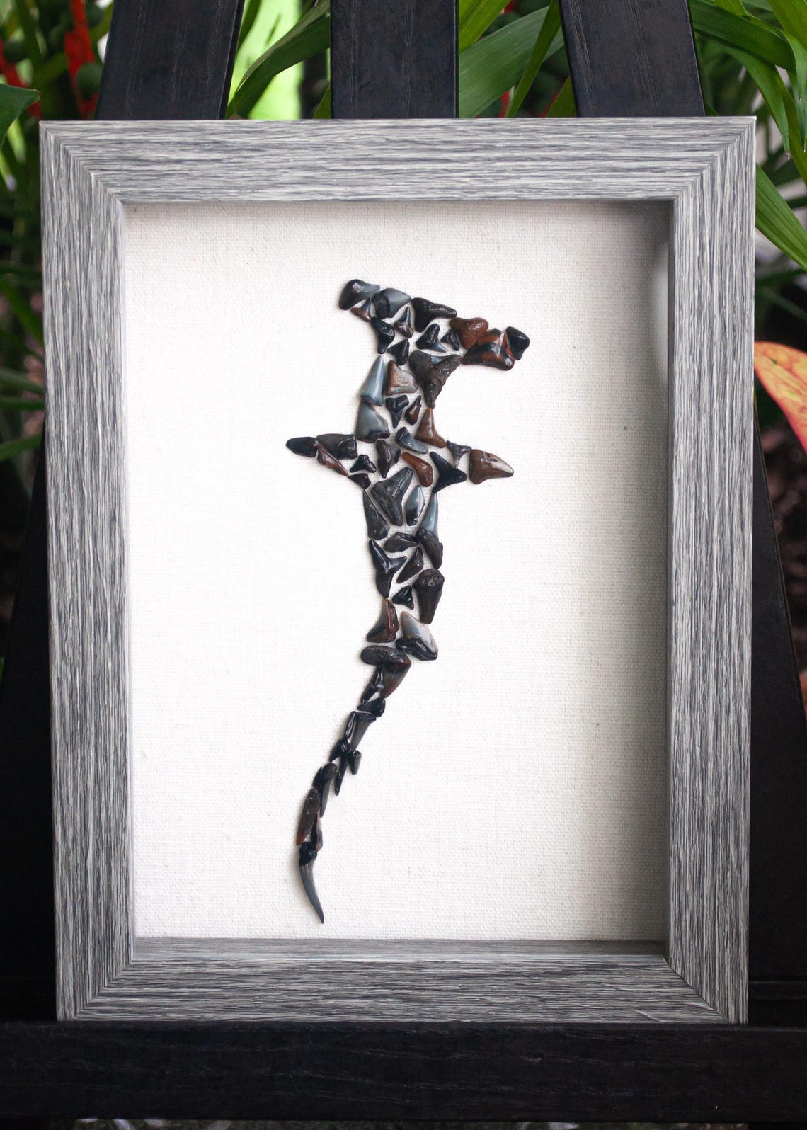 Hammerhead Shark Tooth Shadow Box - Etsy