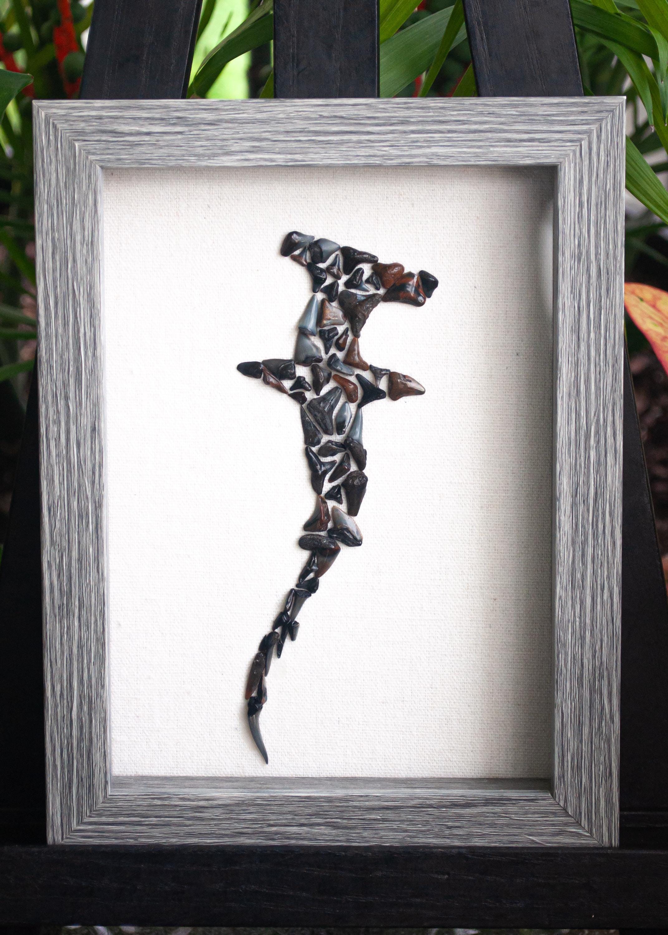 Hammerhead Shark Tooth Shadow Box - Etsy