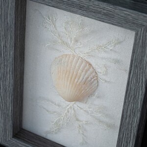 Shell Shadow Box - Wall Art - Etsy