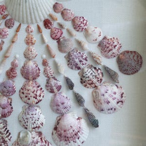 Shell Shadow Box - Wall Art - Etsy