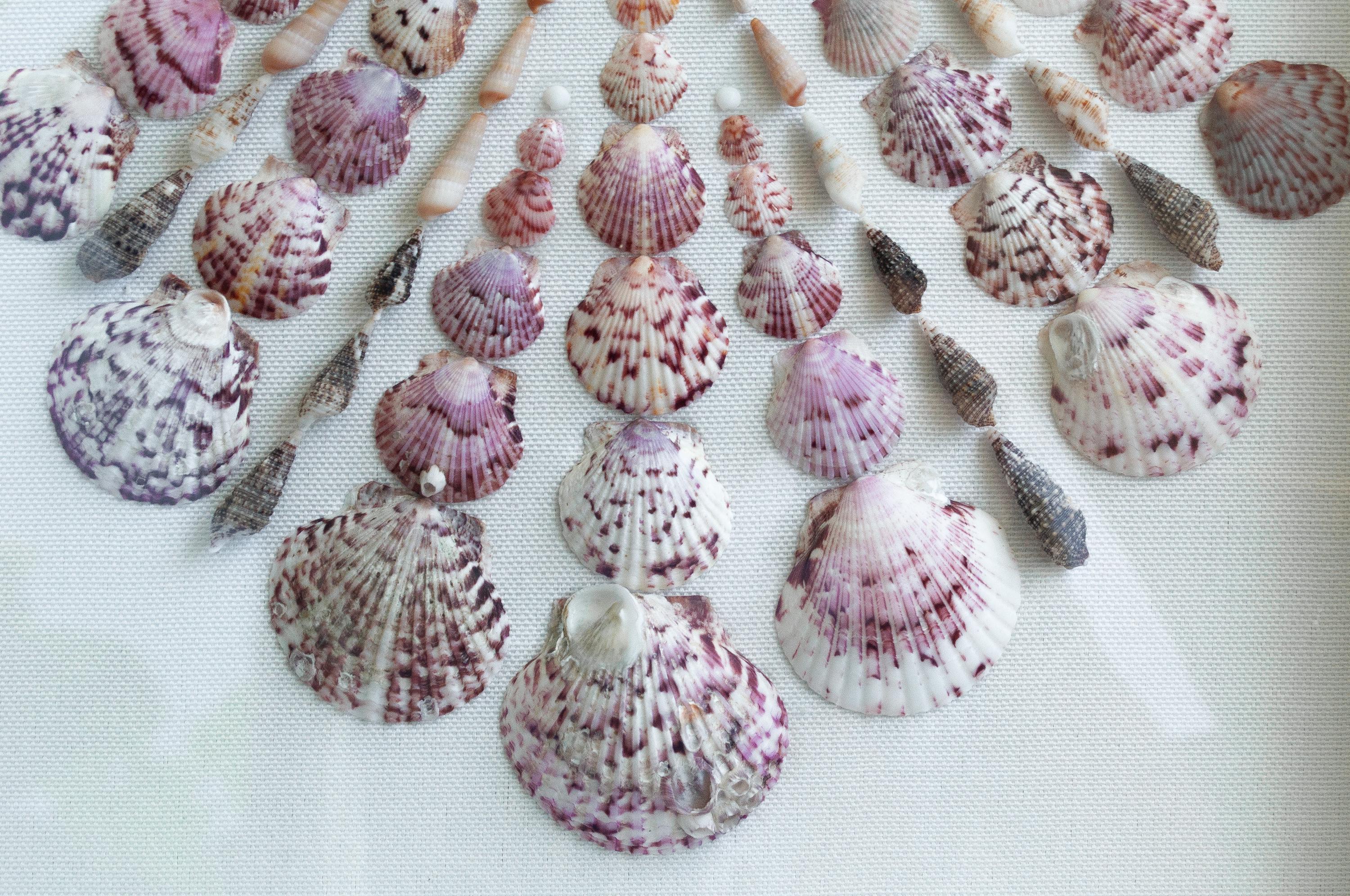 Shell Shadow Box - Wall Art - Etsy