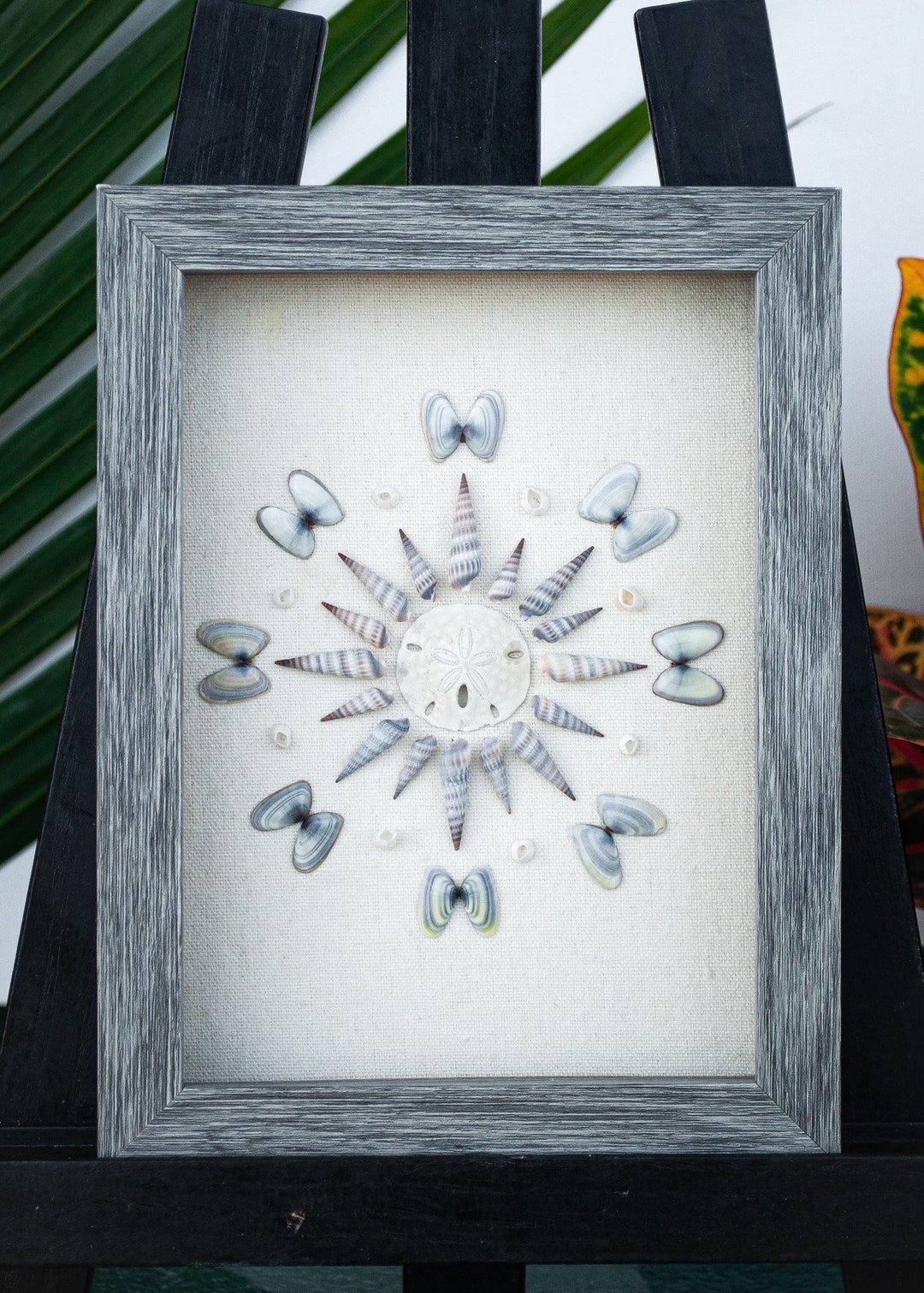 Shell Shadow Box Wall Art - Etsy