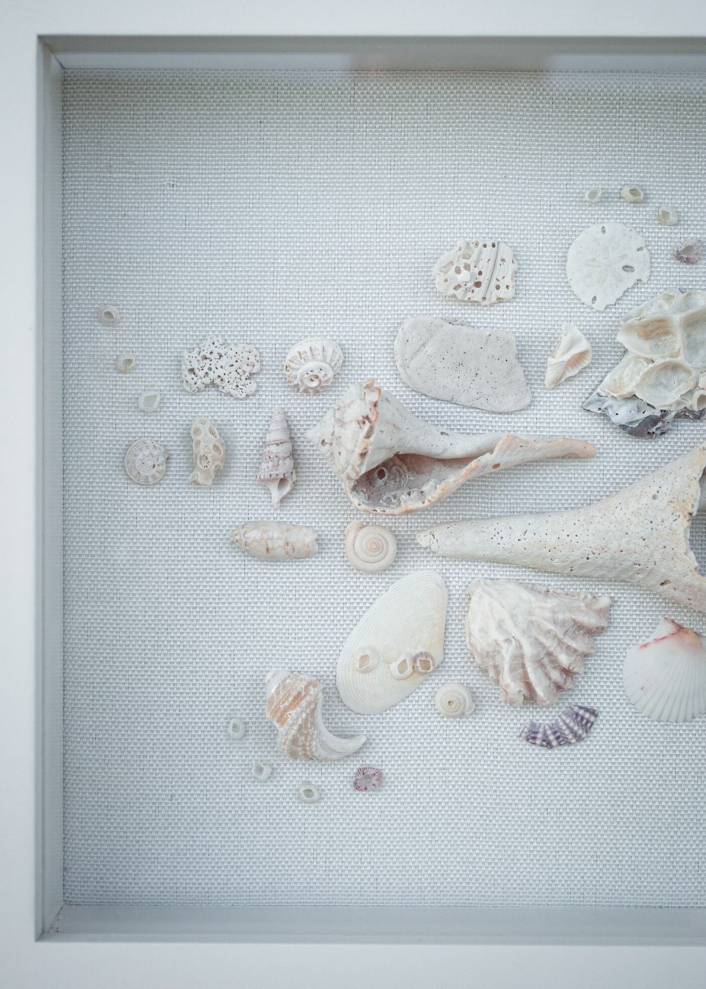 Shell Shadow Box Wall Art - Etsy