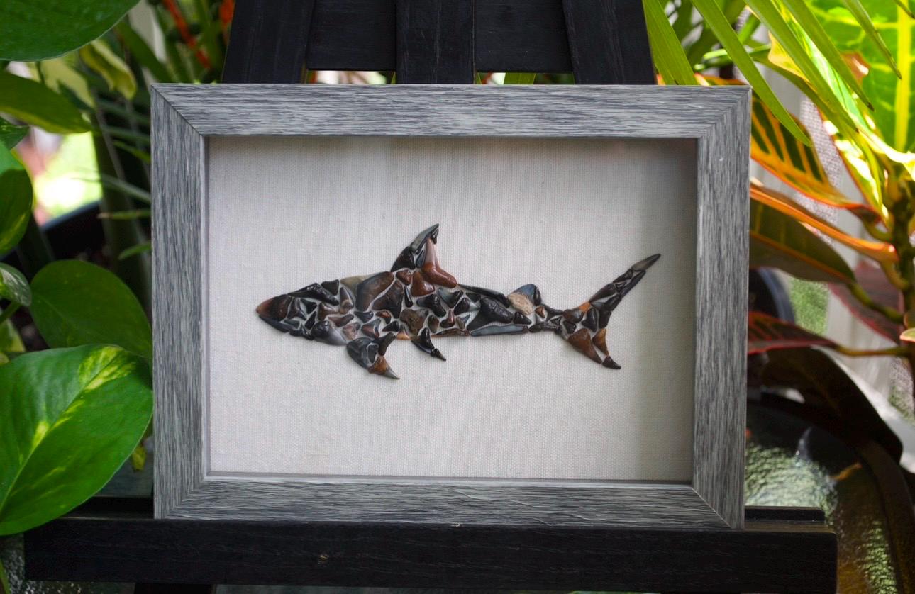 Great White Shark Tooth Shadow Box - Etsy