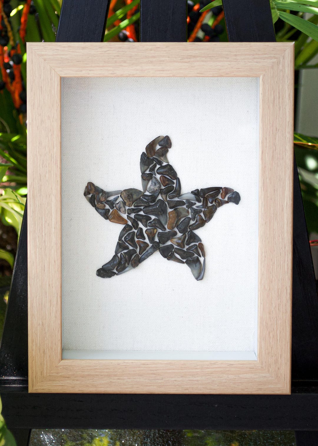 Starfish Shark Tooth Shadow Box - Etsy