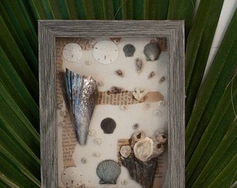 Shell Shadow Box Wall Art - Etsy