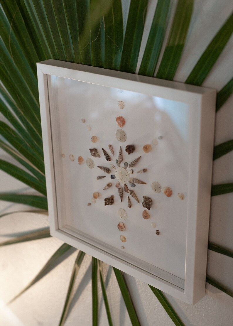 Shell Shadow Box - Wall Art - Etsy