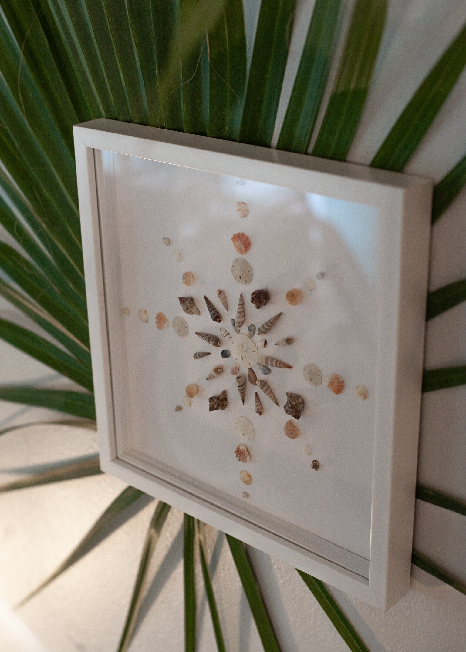 Shell Shadow Box - Wall Art - Etsy