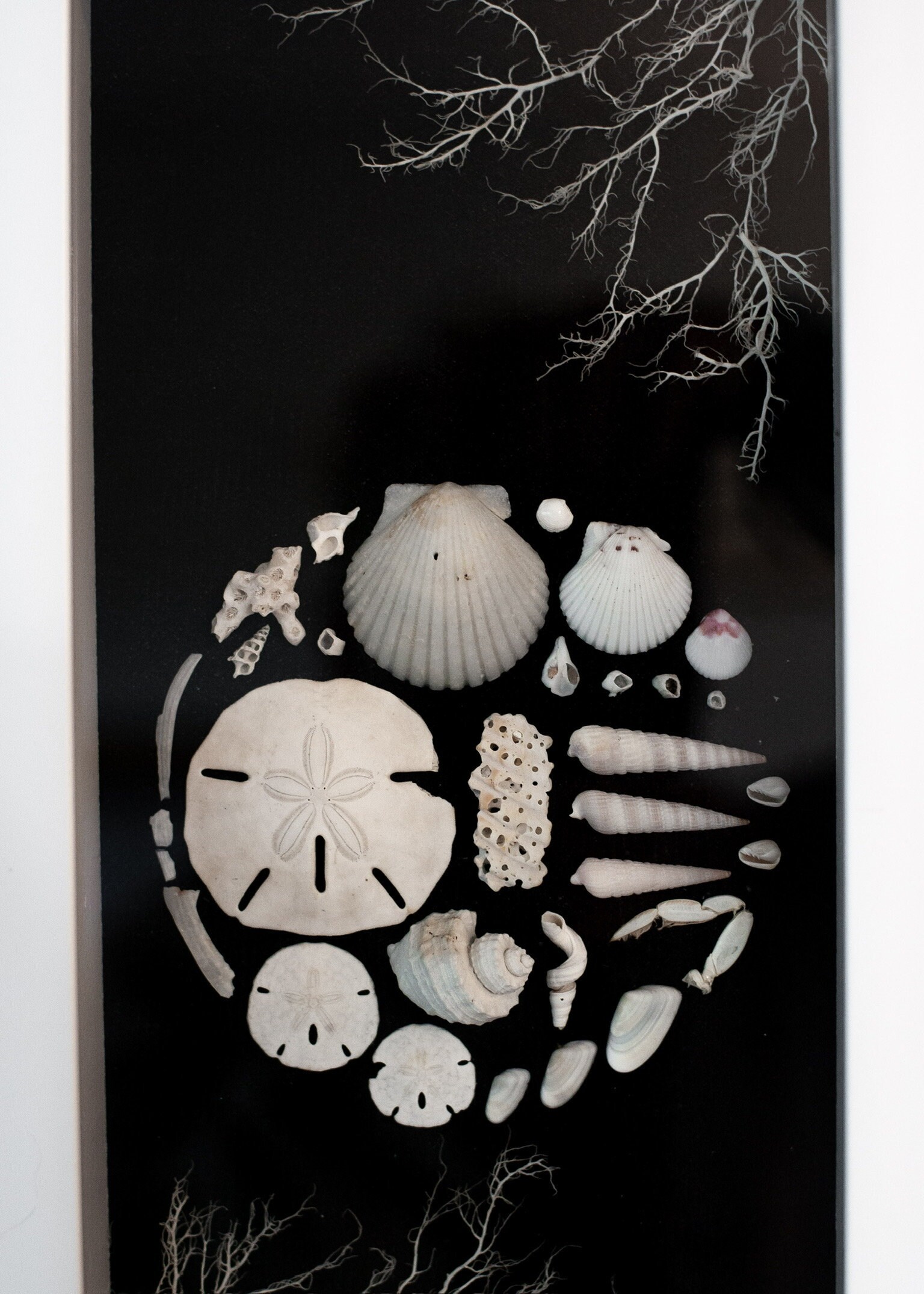 Shell Shadow Box Wall Art - Etsy