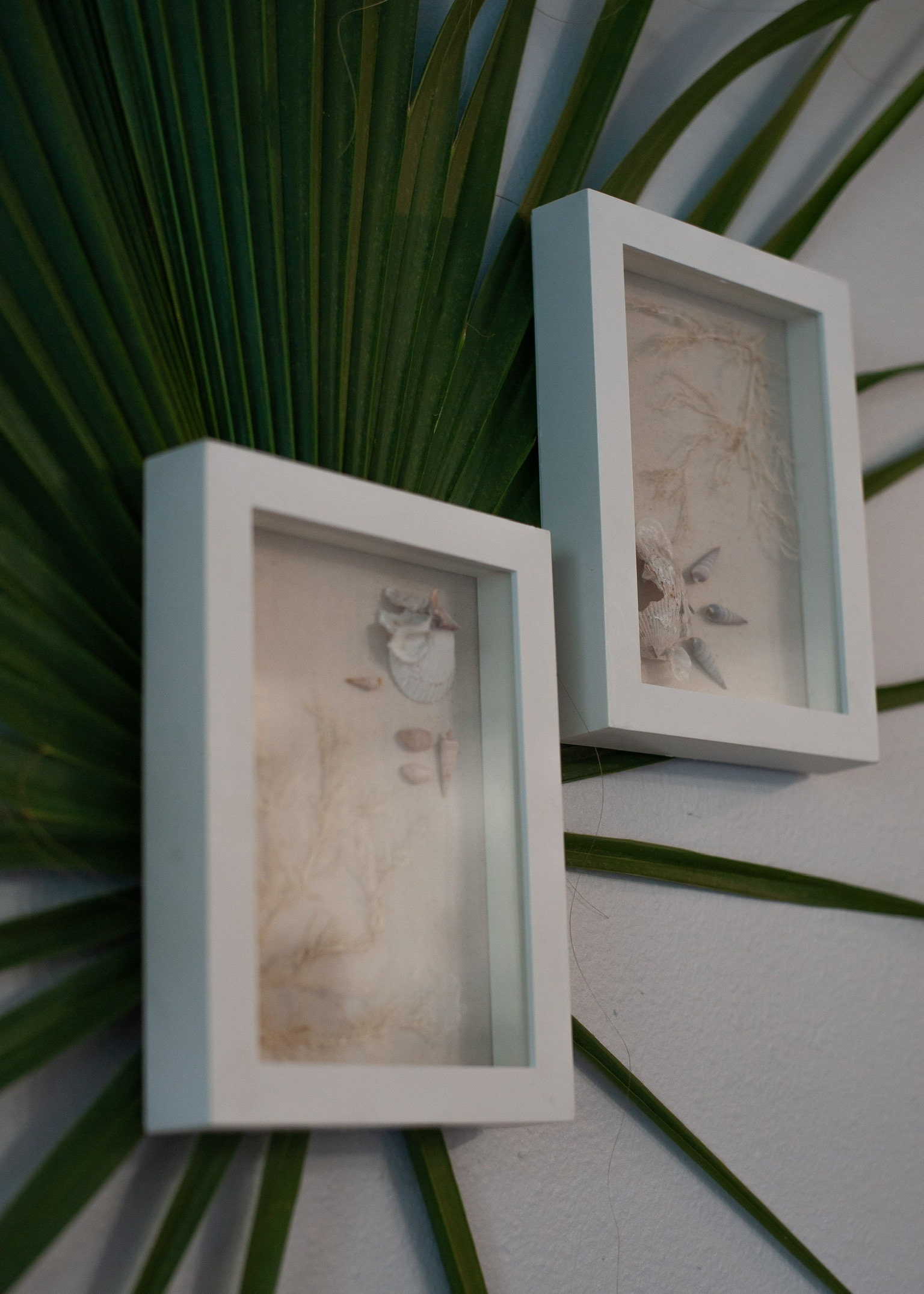 Shell Shadow Box Duo - Wall Art - Etsy