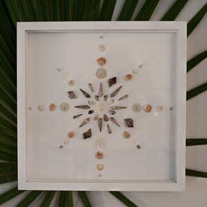 Shell Shadow Box - Wall Art - Etsy
