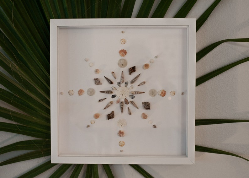 Shell Shadow Box - Wall Art - Etsy