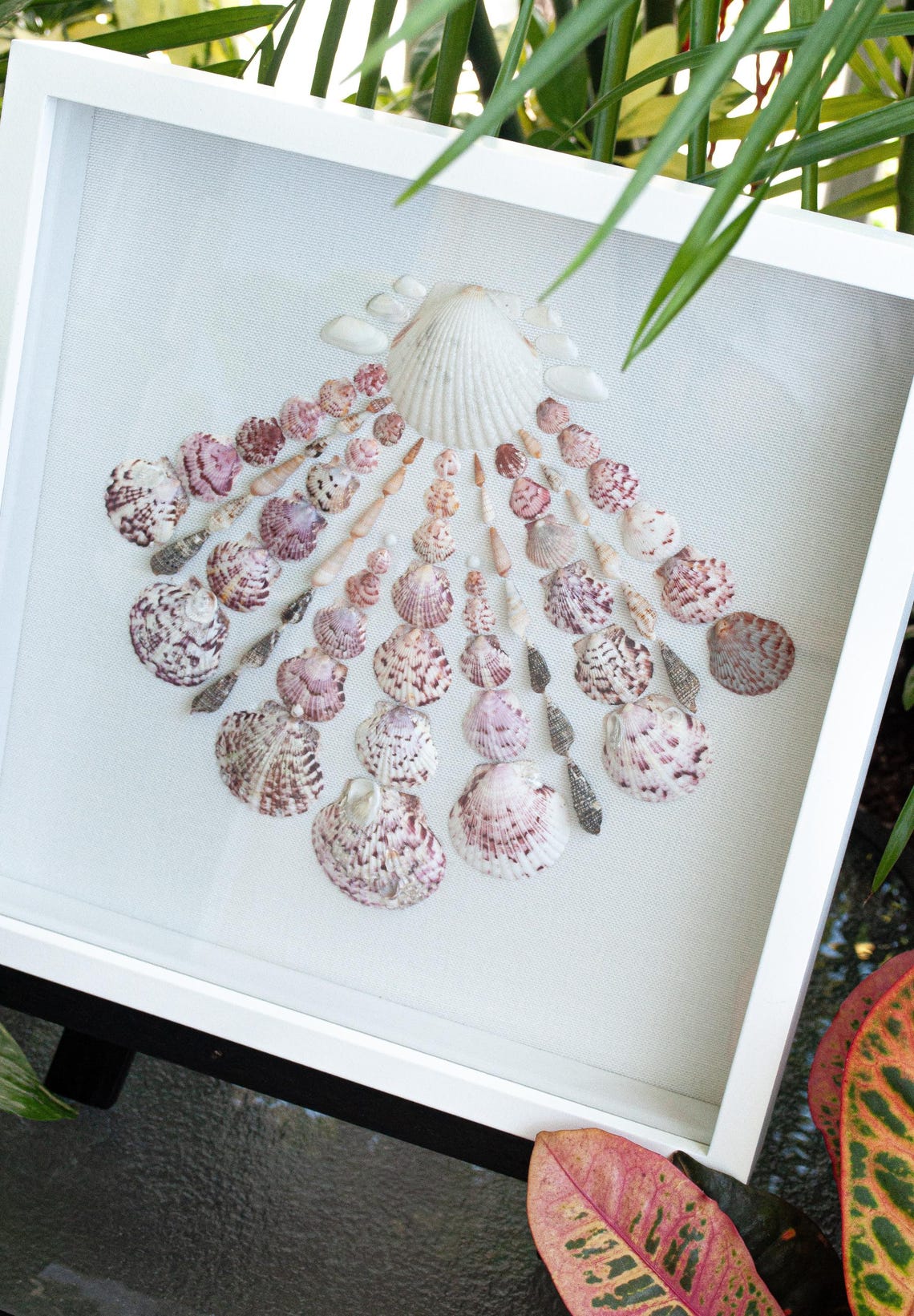 Shell Shadow Box - Wall Art - Etsy