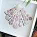 Shell Shadow Box - Wall Art - Etsy