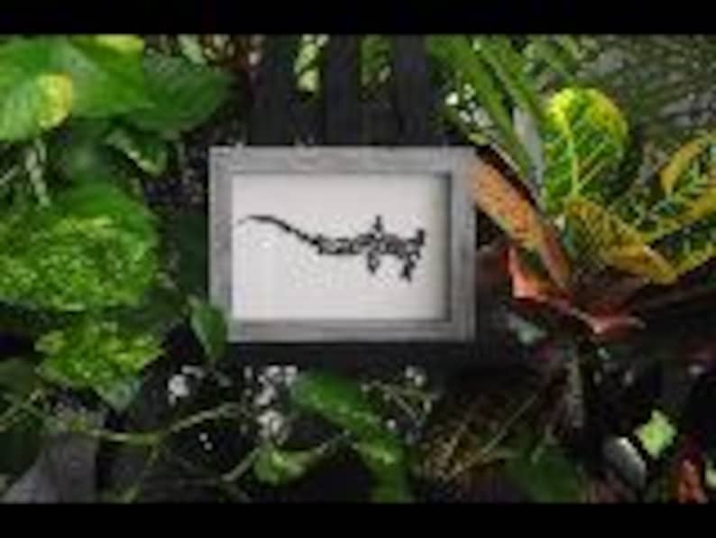 Hammerhead Shark Tooth Shadow Box - Etsy