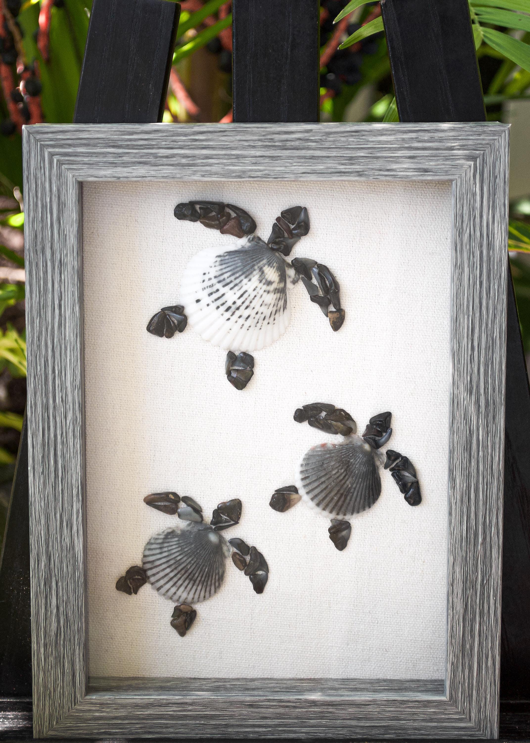 Turtles Shadow Box Wall Art - Etsy