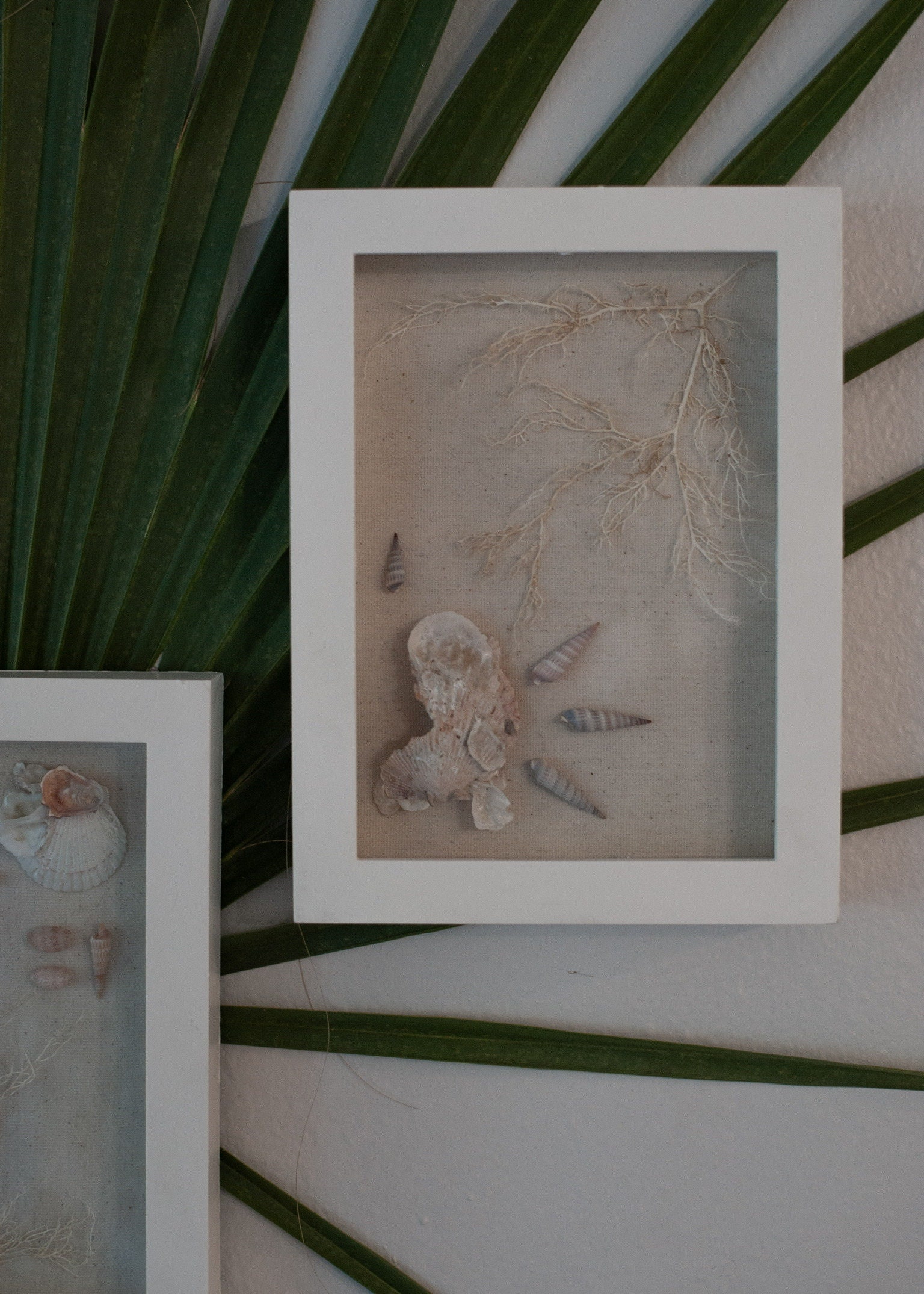 Shell Shadow Box Duo - Wall Art - Etsy