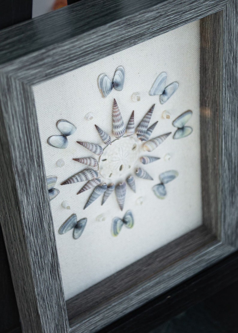 Shell Shadow Box Wall Art - Etsy