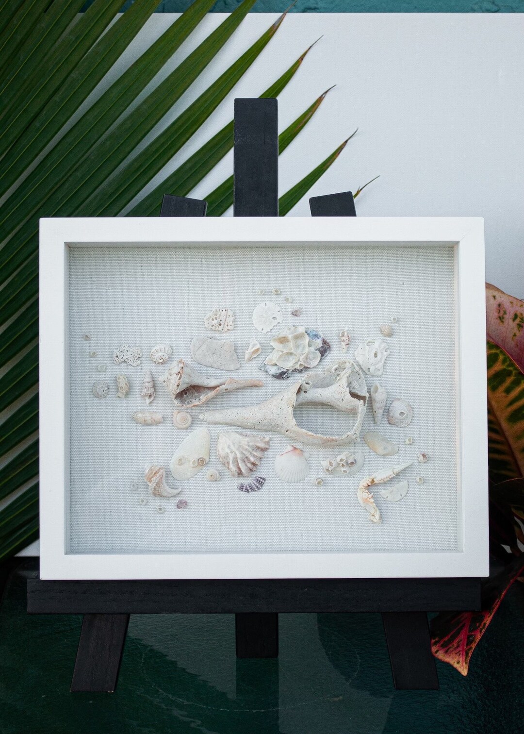Shell Shadow Box - Wall Art - Etsy