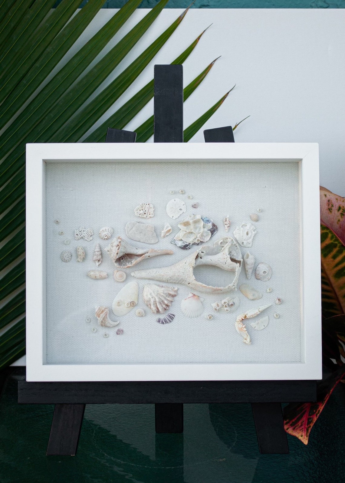 Shell Shadow Box - Wall Art - Etsy