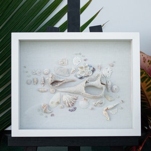 Shell Shadow Box - Wall Art - Etsy