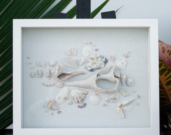 Shell Shadow Box Wall Art - Etsy