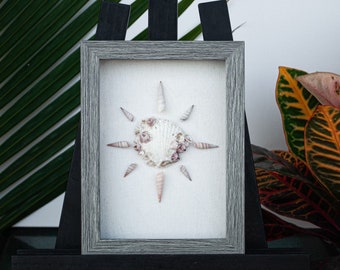 Shell Shadow Box Wall Art - Etsy