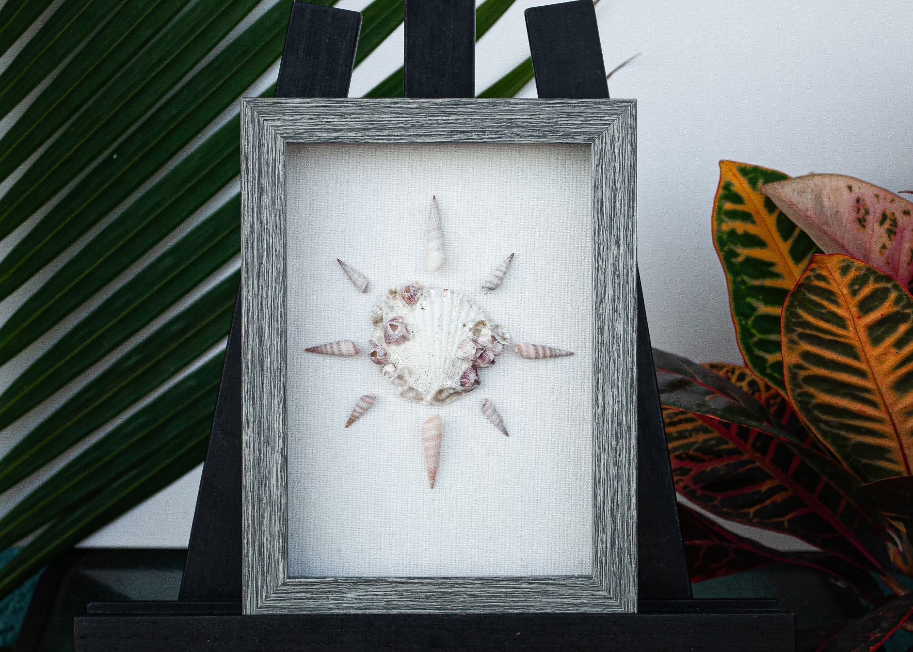 Shell Shadow Box - Wall Art - Etsy