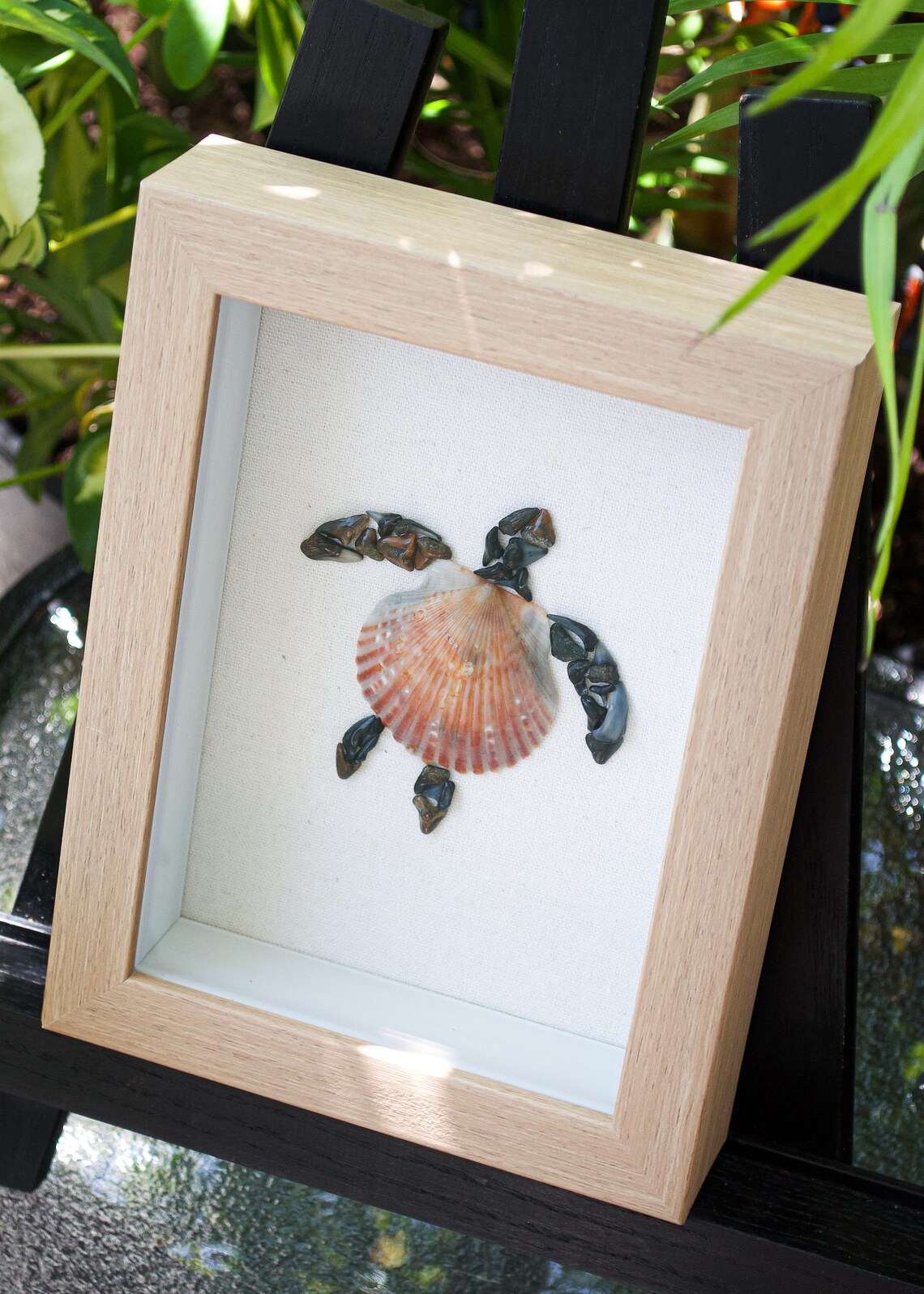 Turtle Shark Tooth Shadow Box - Etsy