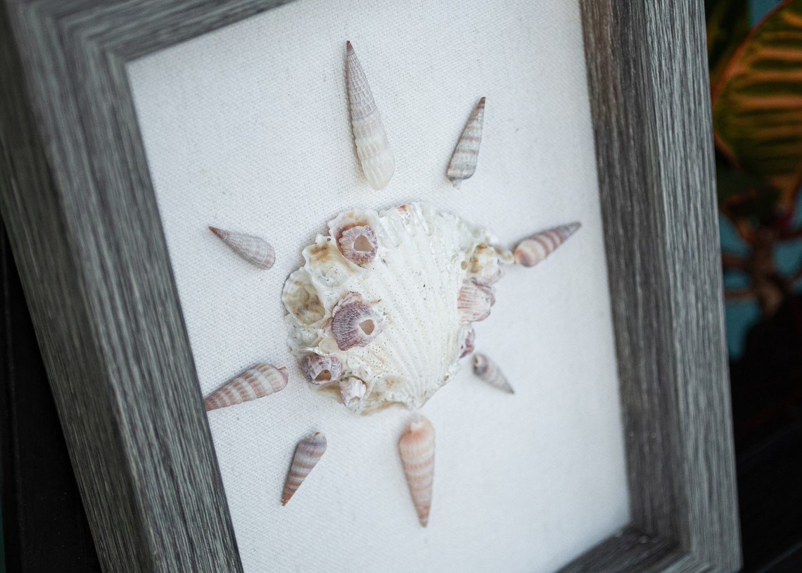 Shell Shadow Box - Wall Art - Etsy