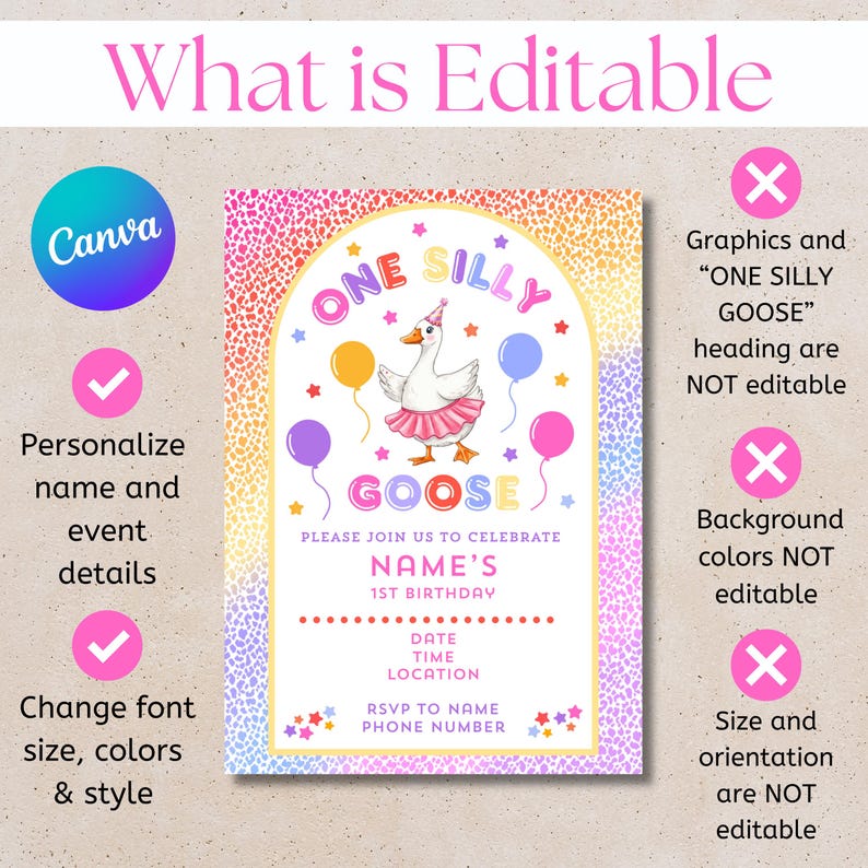 One Silly Goose First Birthday Invitation, Girls 1st Birthday Party ...