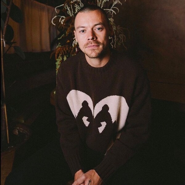 Harry Styles Funko Pop - Etsy