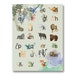 Abecedario Animales Digital | Poster Abecedario Niños | Alfabeto De ...