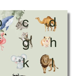 Abecedario Animales Digital | Poster Abecedario Niños | Alfabeto De ...