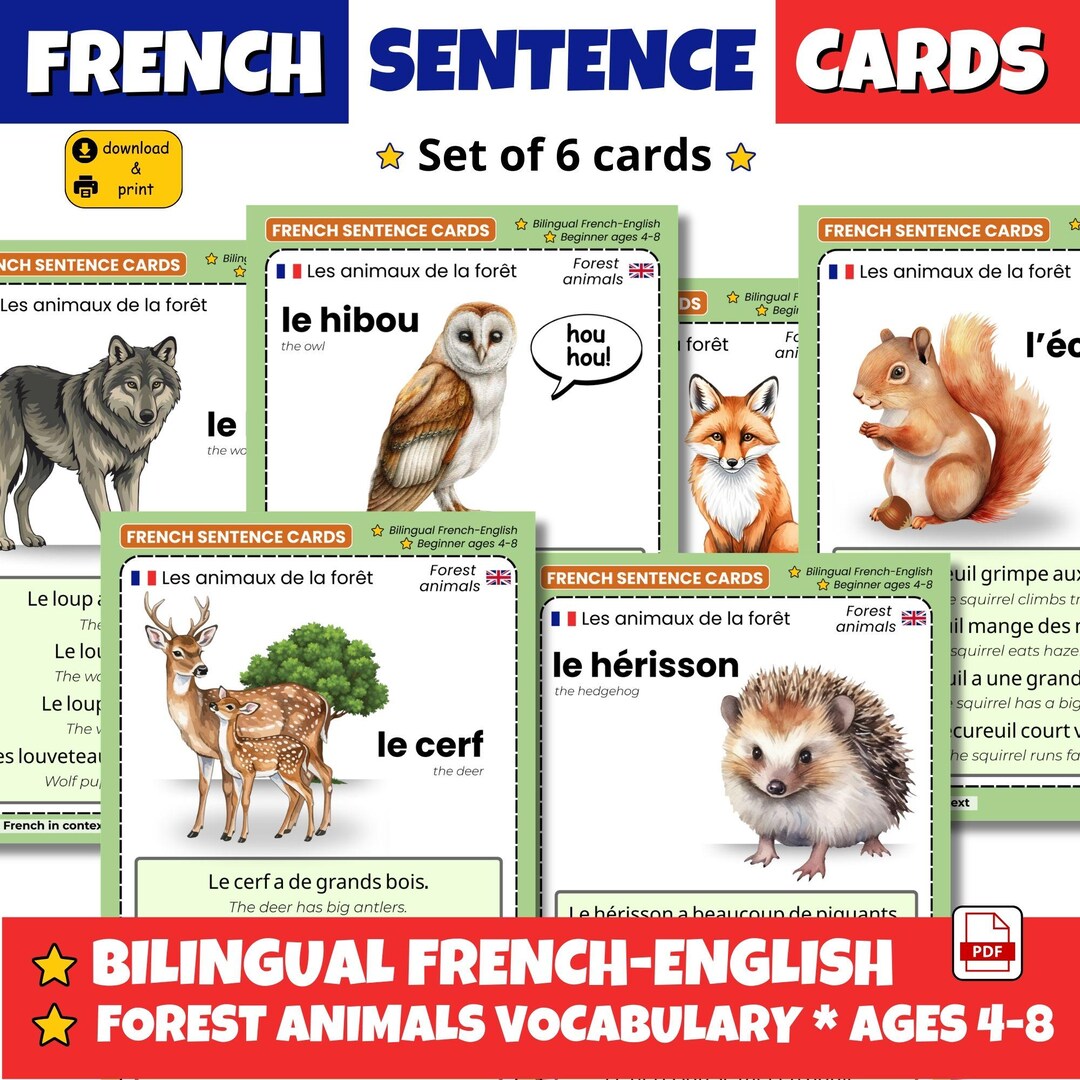 French Flashcards for Kids Printable | Learn French Sentences ...