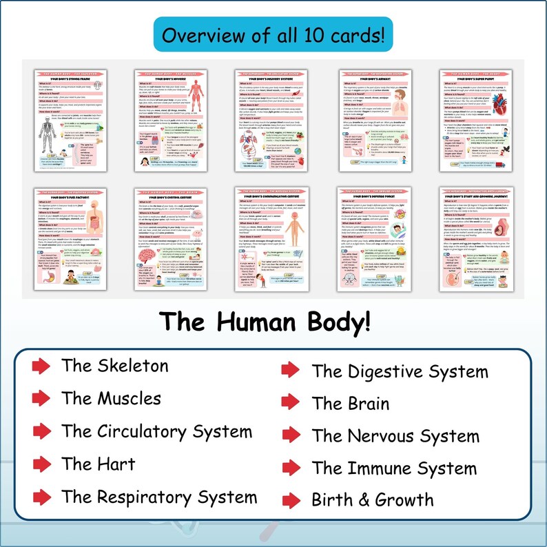 Human Body Flashcards Printable for Kids Ages 7-12 | 10 Anatomy Cards ...