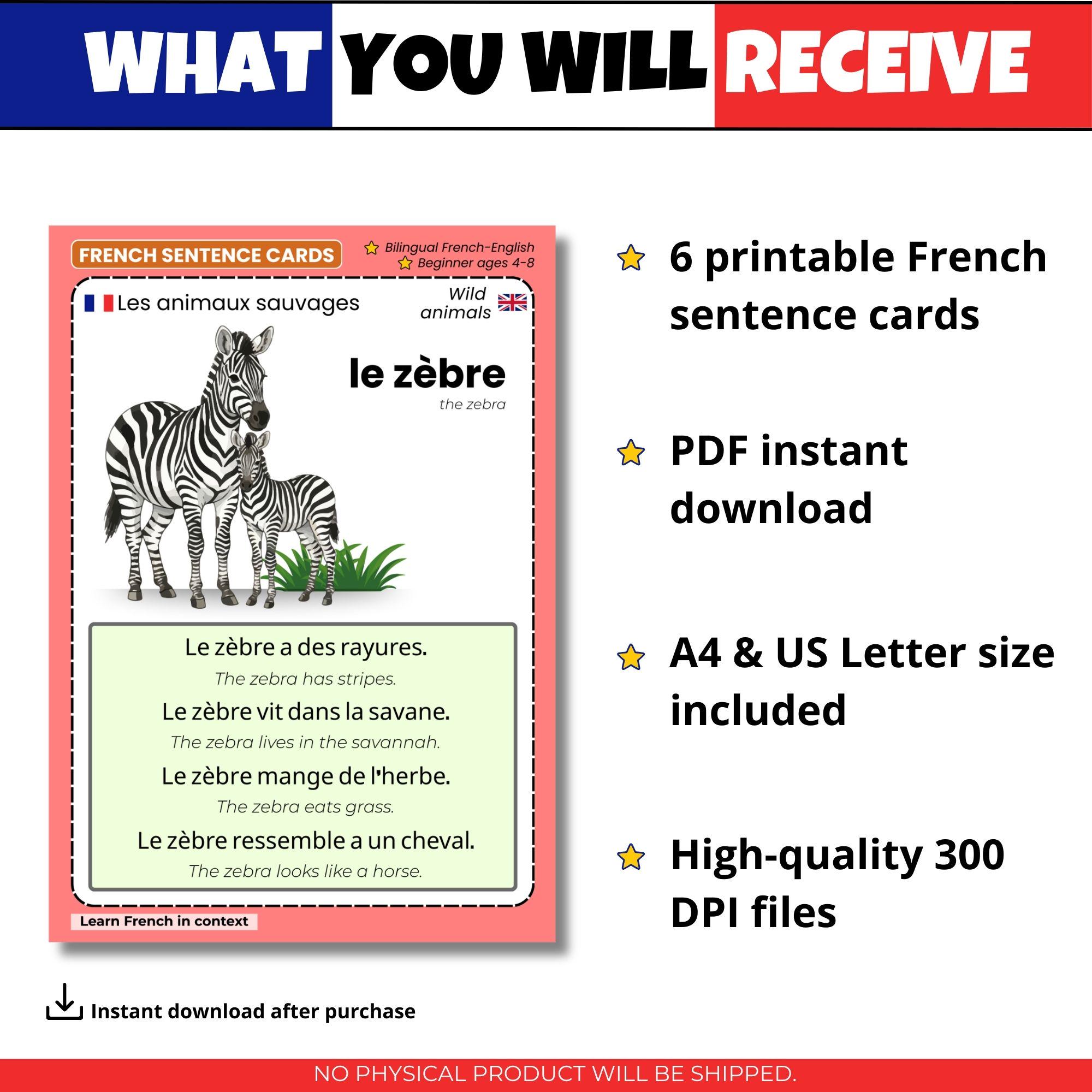 French Flashcards for Kids Printable | Learn French Sentences ...