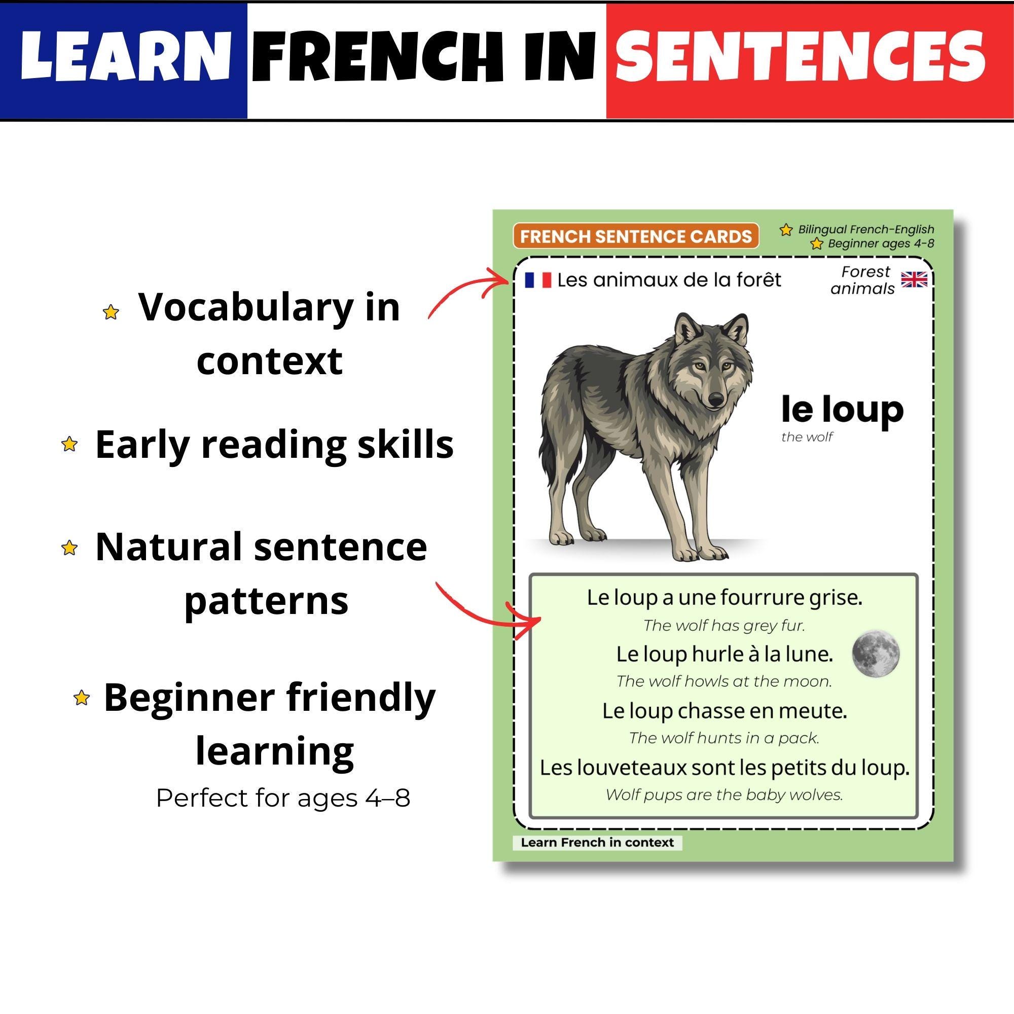 French Flashcards for Kids Printable | Learn French Sentences ...