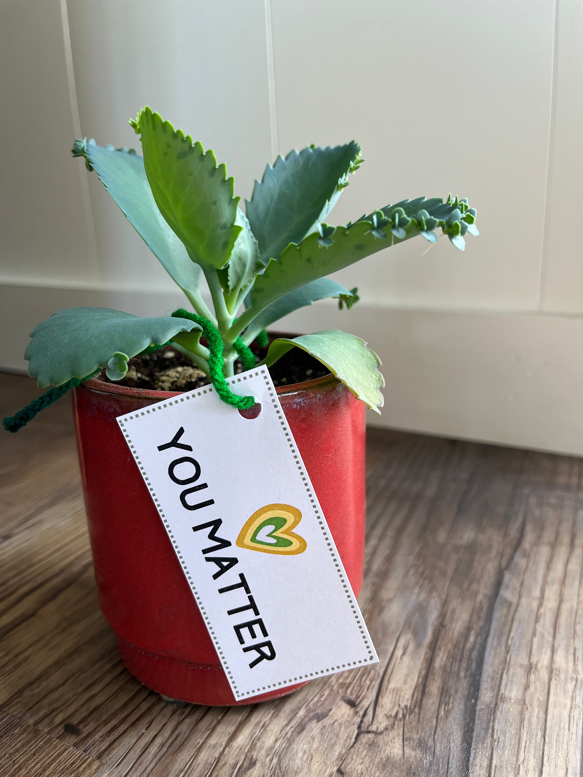 You Matter Cards (printable) - Etsy