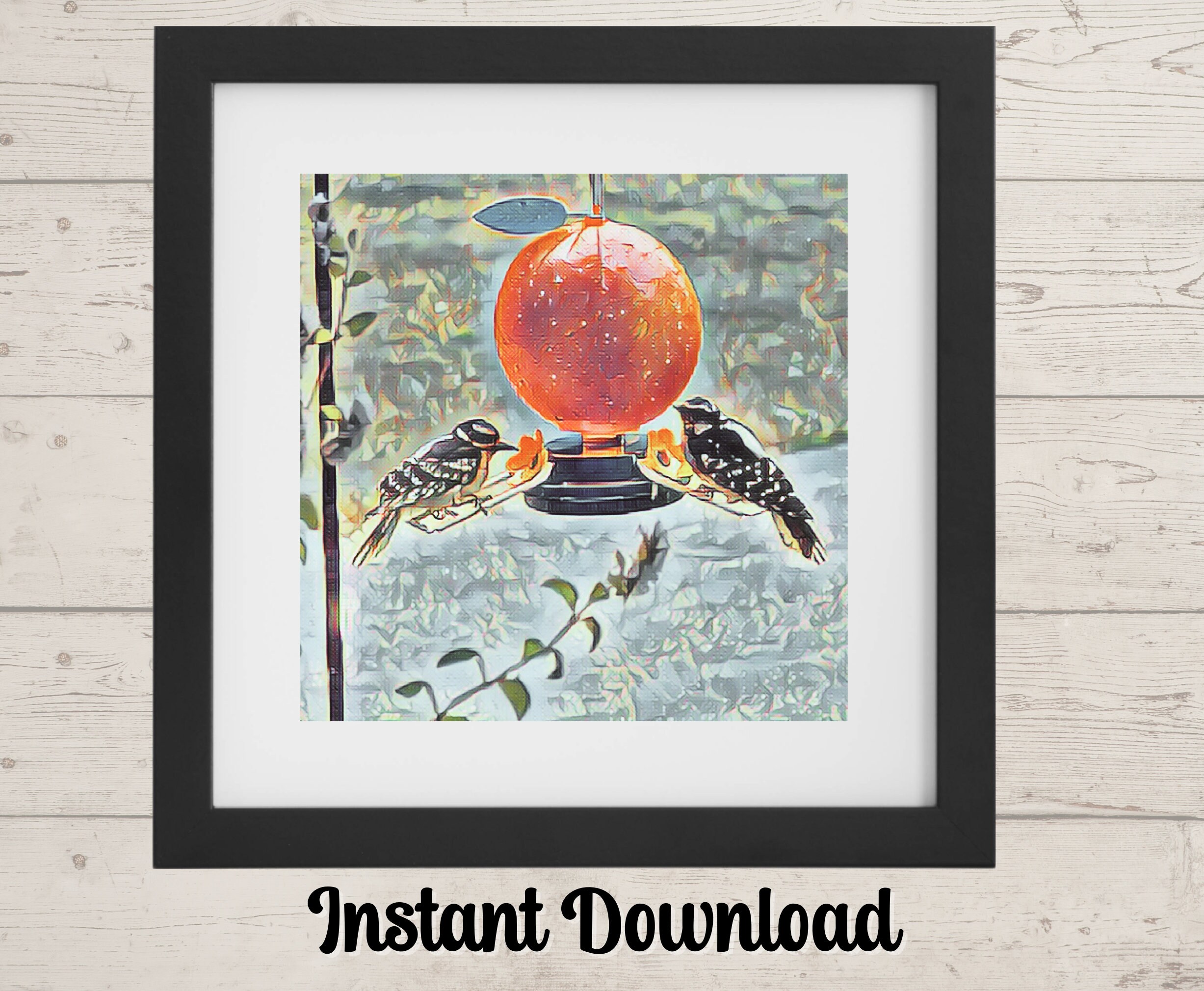 Downy Woodpeckers at the Oriole Feeder Wall Art Birdwatcher - Etsy