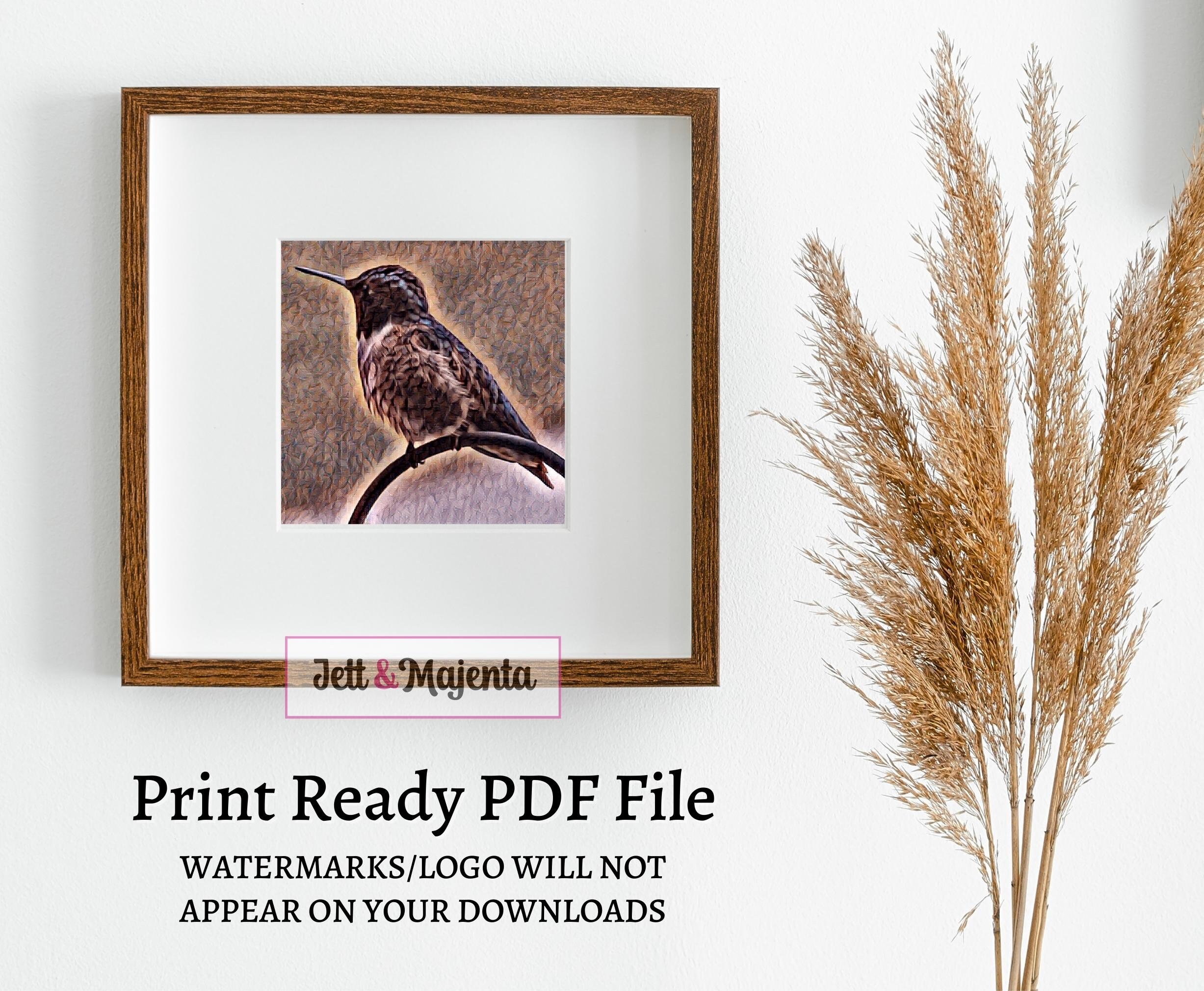 Hummingbird Printable Square Digital Download Birdwatcher - Etsy