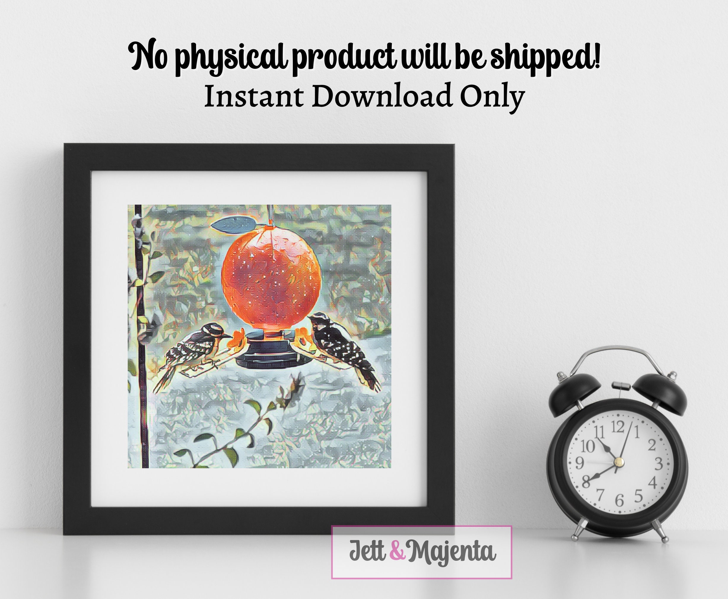 Downy Woodpeckers at the Oriole Feeder Wall Art Birdwatcher - Etsy