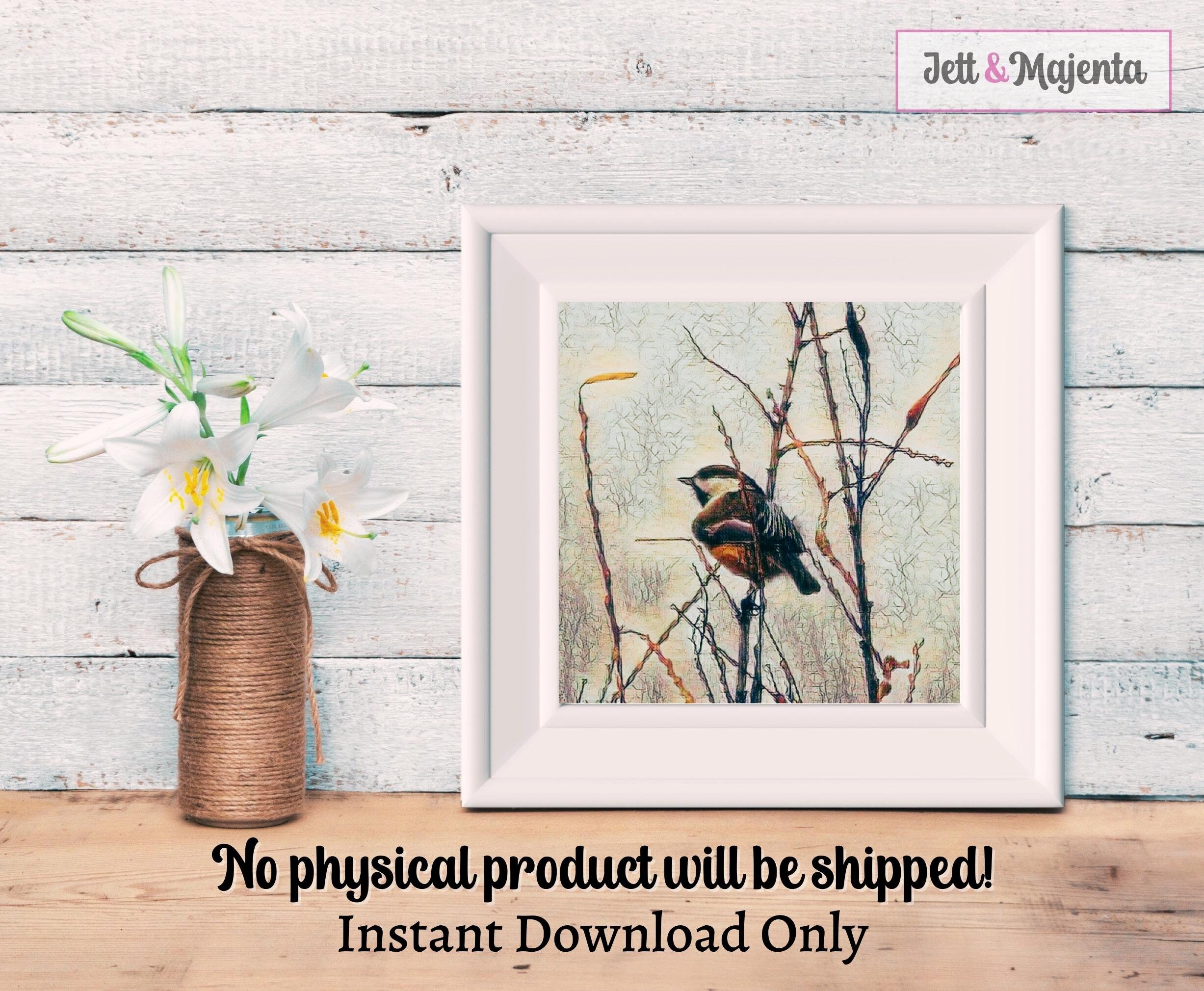 Chickadee Wall Art Black Capped Chickadee Square Printable Wall Art ...