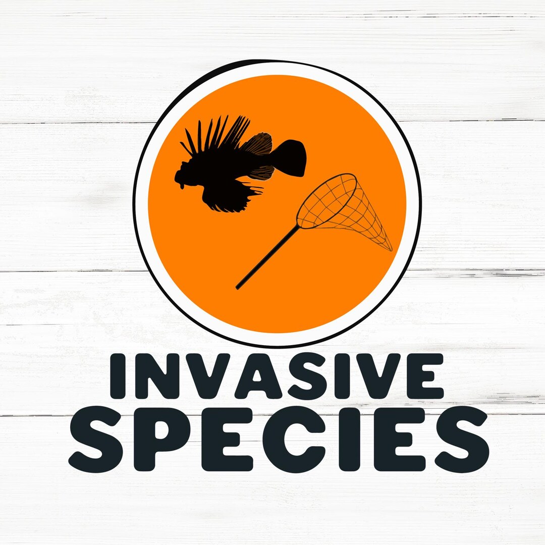 Invasive Species SVG, Invasive Species PNG, Invasive Species Design ...