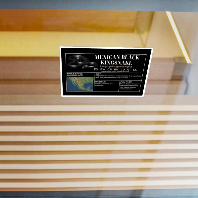 Mexican Black King Snake Sticker Label - Etsy