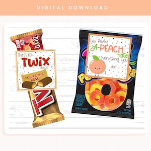 Printable 36 Appreciation Gift Tags | Teacher Gift Tags | Employee Gift ...