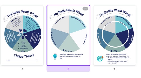 Choice Theory 5 Basic